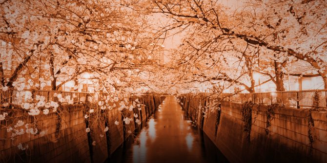 Spring Festivals Around the World | San Mateo County Libraries